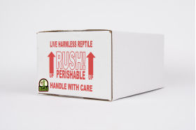 12x9x6 Shipping Box – FirstStrike Reptile Supplies